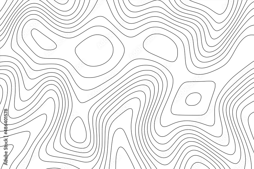 Imitation of a geographical map, black lines on white background ...