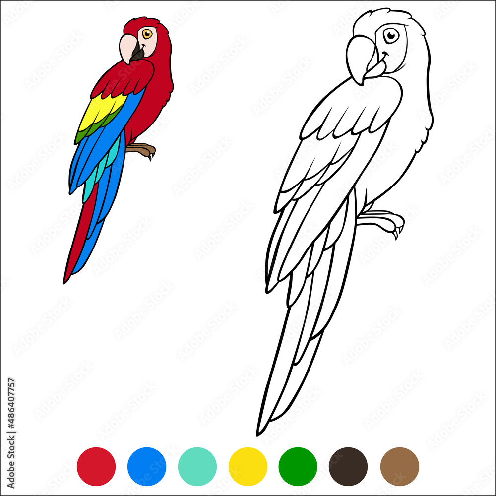 Macaw Coloring Pages