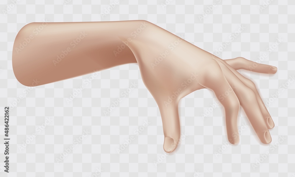 Isolated Realistic 3D open hand illustrations. 3D vector illustration ...