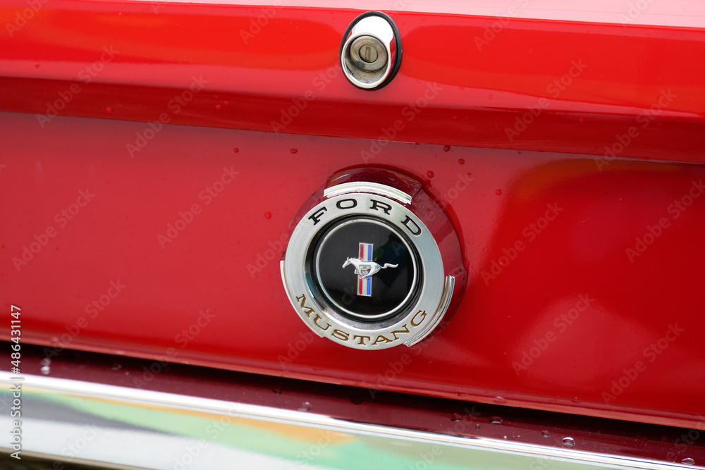 ford mustang muscle car logo brand horse and sign text of us back ...