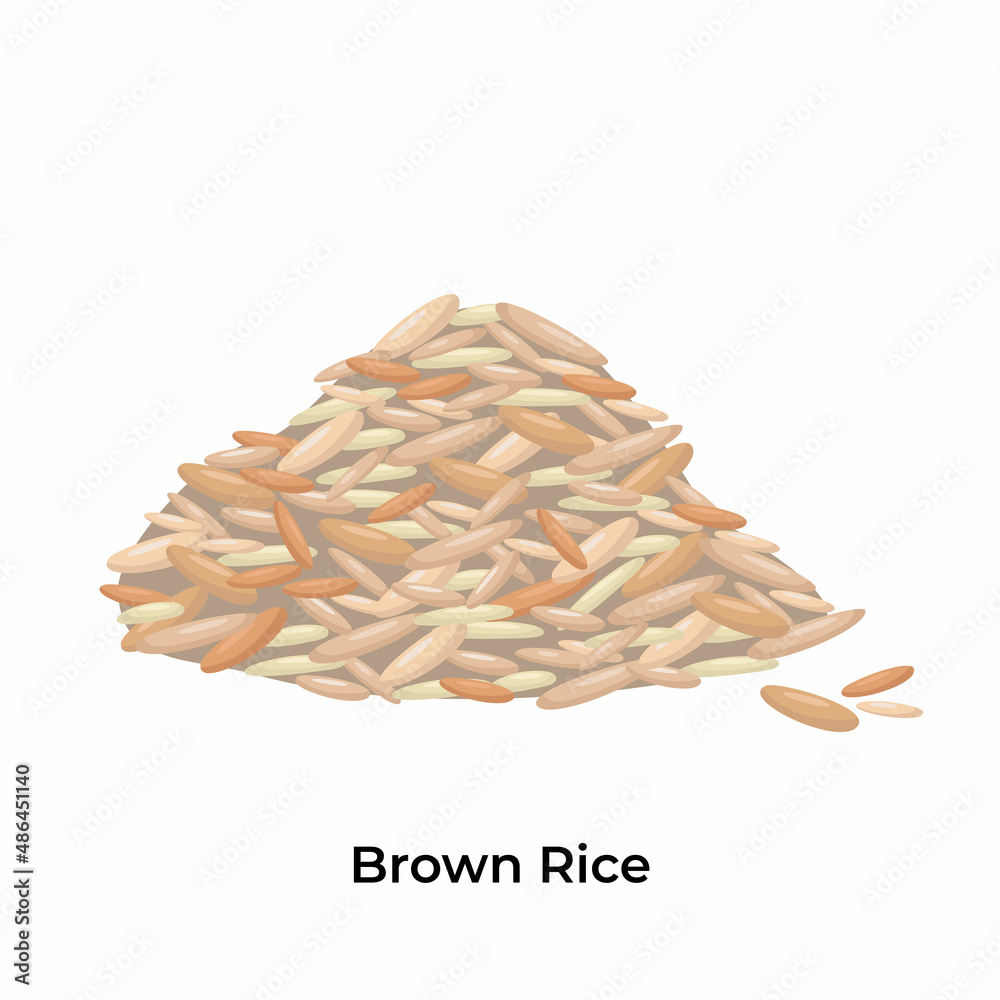 Brown rice. Vector stock illustration isolated on white background for ...
