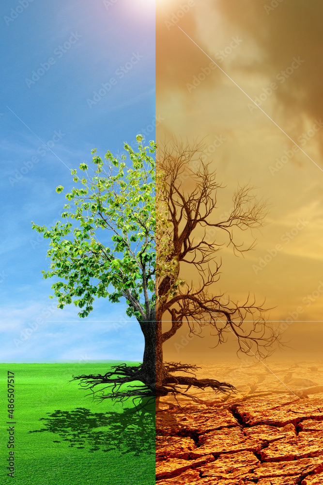 Climate change from drought to green growth. climate change withered ...