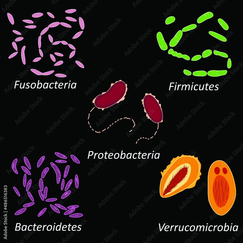 Set of different types of bacterias of human microbiome on black ...