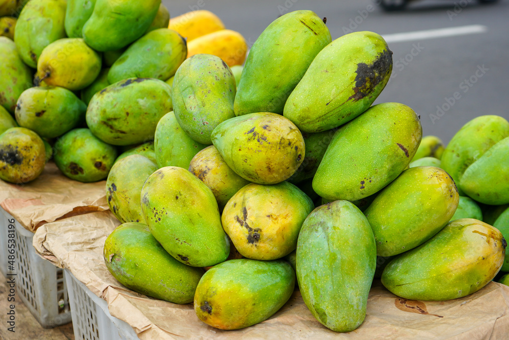 Mangifera indica, commonly known as mango is a species of flowering ...