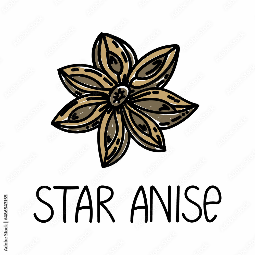 Star anise, hand-drawn doodle style element. Logo and emblem packaging ...