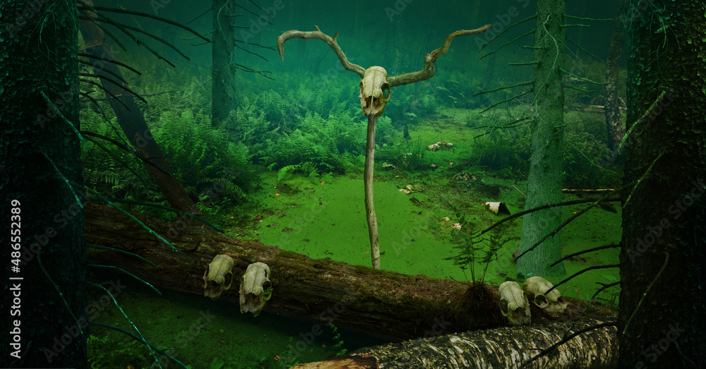 Skulls in swamp. Pagan shaman worship ritual in dark mysterious forest ...