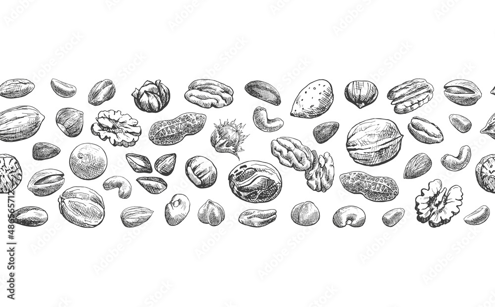 Seamless border of nuts. Hand drawn elements. Sketch almond, brazil nut ...