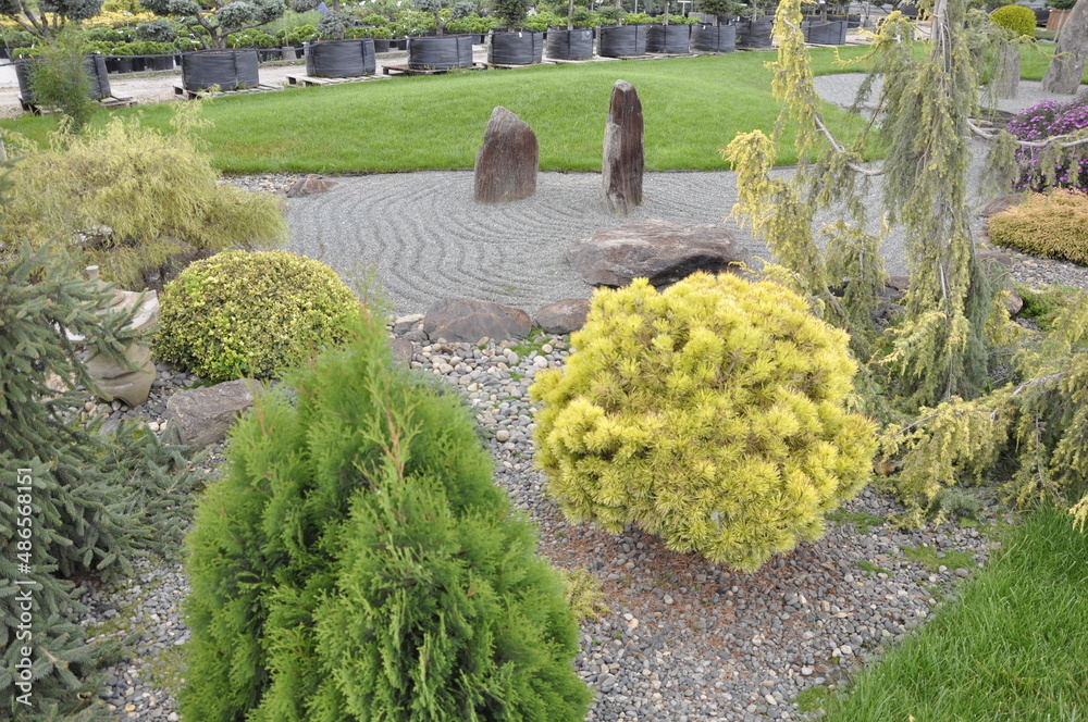 Landscaping of a garden plot. Flowers and plants in landscape design ...