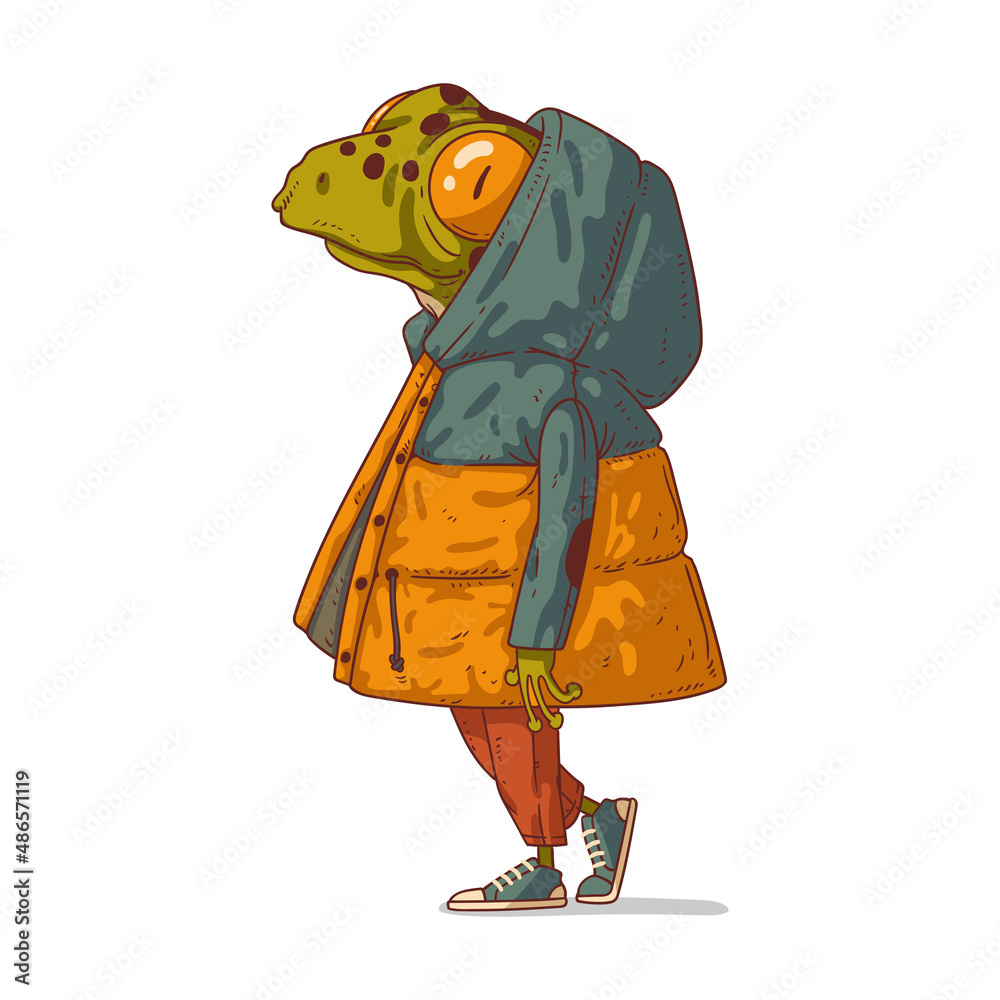 A dreamy frog in profile admiring something, isolated vector ...