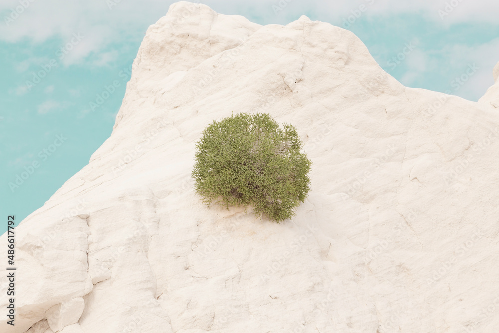 a circular bush in sand dunes Stock Photo | Adobe Stock