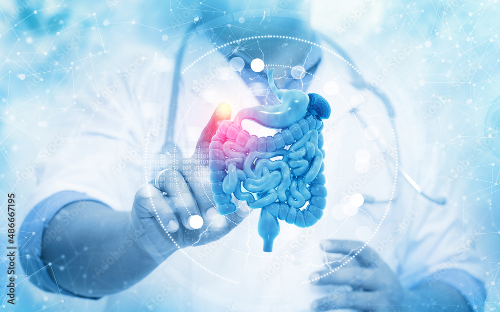 The doctor touching the patient digestive system on blurred background ...