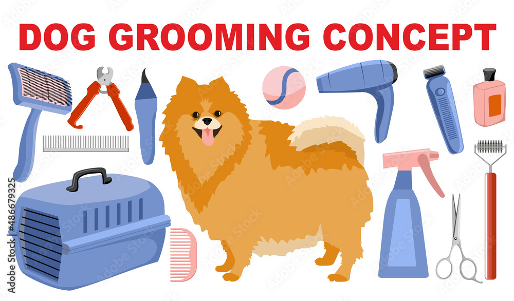 What Tools Do Dog Groomers Use