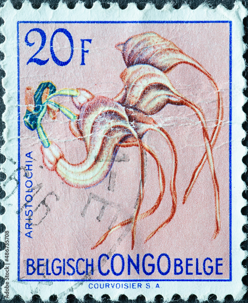 Photo & Art Print Belgian Congo - circa 1952 : a postage stamp from ...