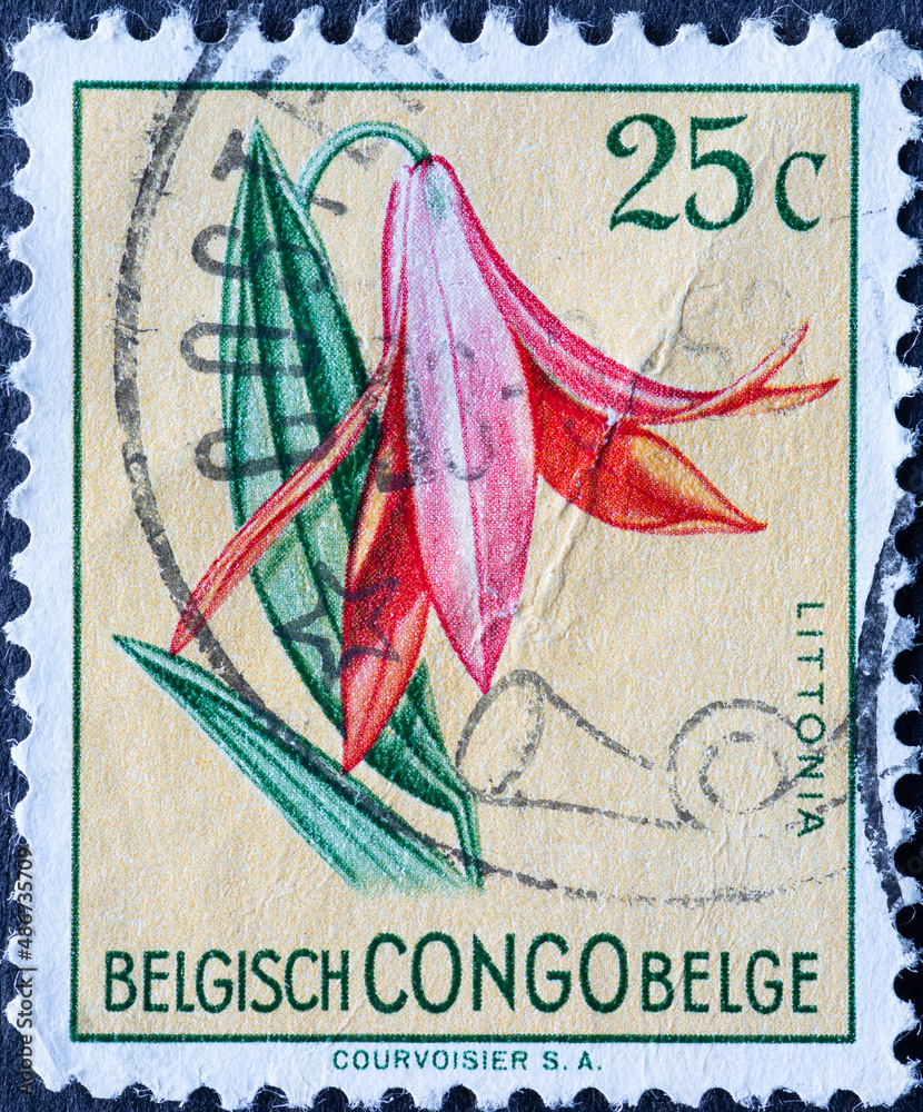 Belgian Congo - circa 1952 : a postage stamp from Belgian Congo ...