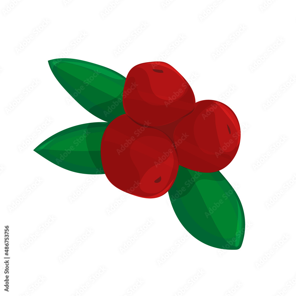 Red berries with green leaves cartoon isolated illustration on white ...