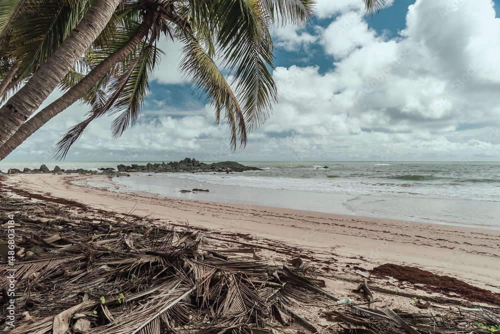 Africa beach from jungle and boulders in the tropical part Axim Ghana ...