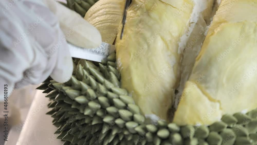 Durian Cake, Homemade bakery Make durian-shaped cakes and make-up with ...