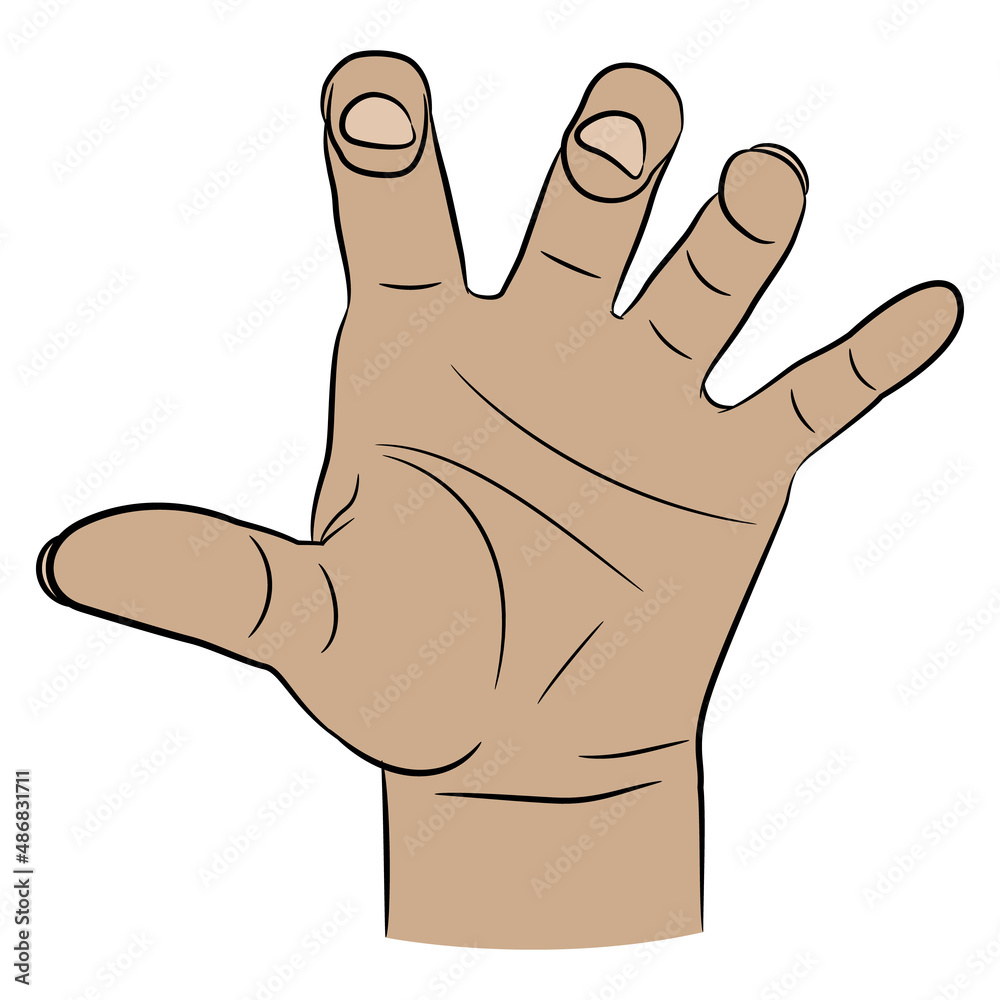 Raised up human hand with open palm and bent fingers. Grasping gesture ...