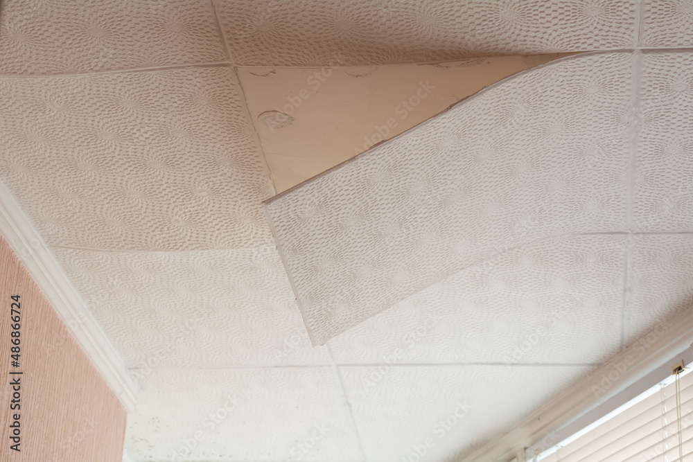 Ceiling tiles peeled off the ceiling. Poor quality ceiling tiles ...