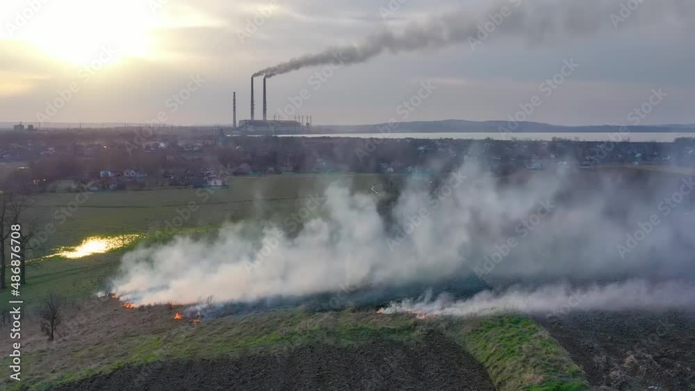 setting fire to the grass in spring. Poisonous dangerous smoke, death ...