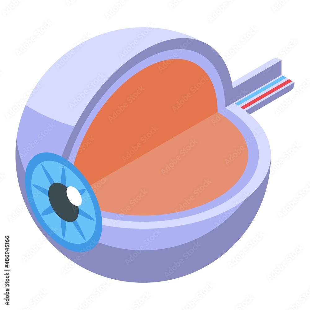 Eyeball perception icon isometric vector. Visual memory. Optical ...
