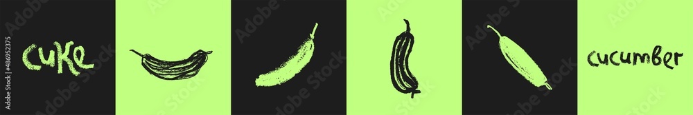 Vector cucumber icon isolated. Hand drawn cuke drawing, corm ...