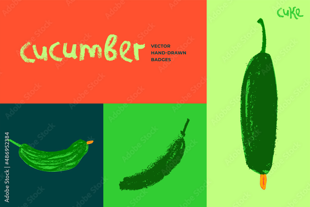 Vector cucumber icon isolated. Hand drawn cuke drawing, corm ...