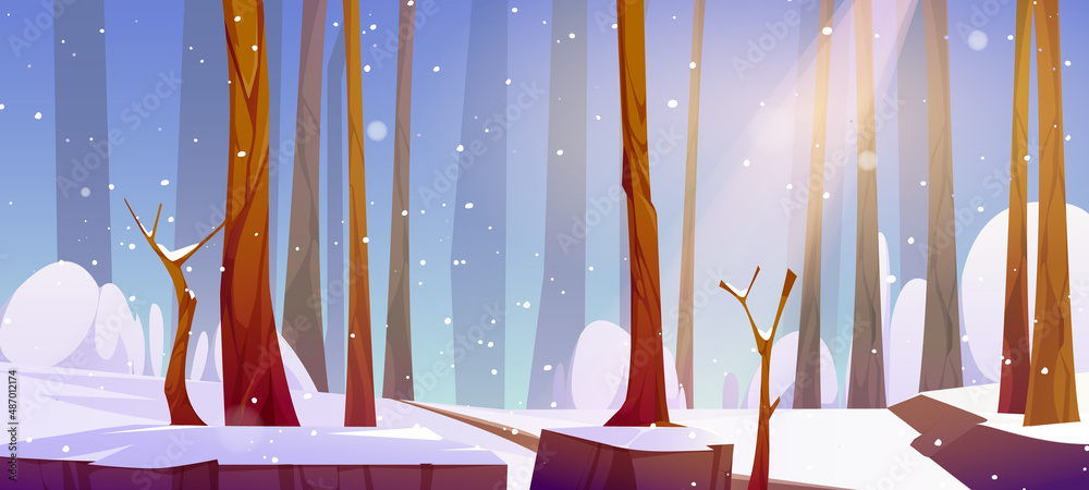 Winter landscape with white snow, tree trunks and path in daylight ...