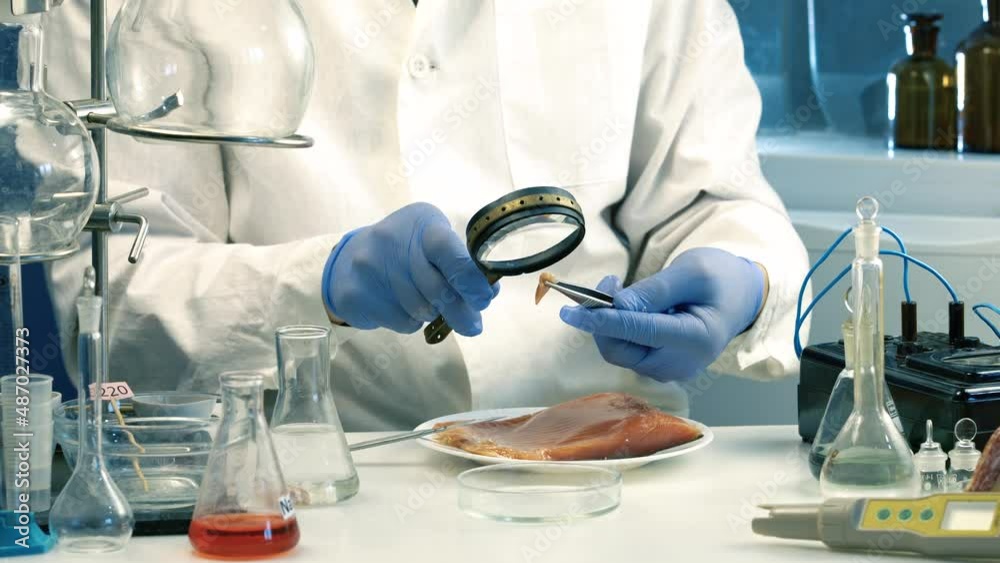 A food inspector checks a piece of salmon from a store for harmful ...