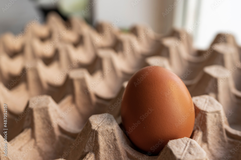 The texture of a single red chicken egg lies in a box. The photo is ...