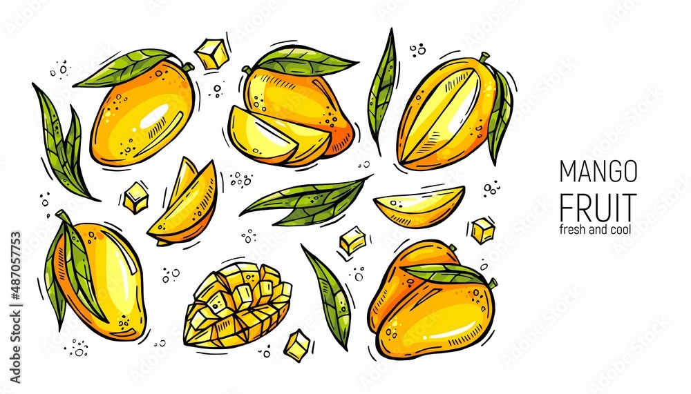 Set of hand drawing mango. For labels, menus, design, posters and ...