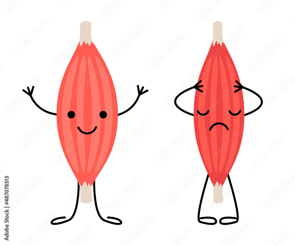 Healthy happy muscle and weak sad pain muscle character. Strong and ...