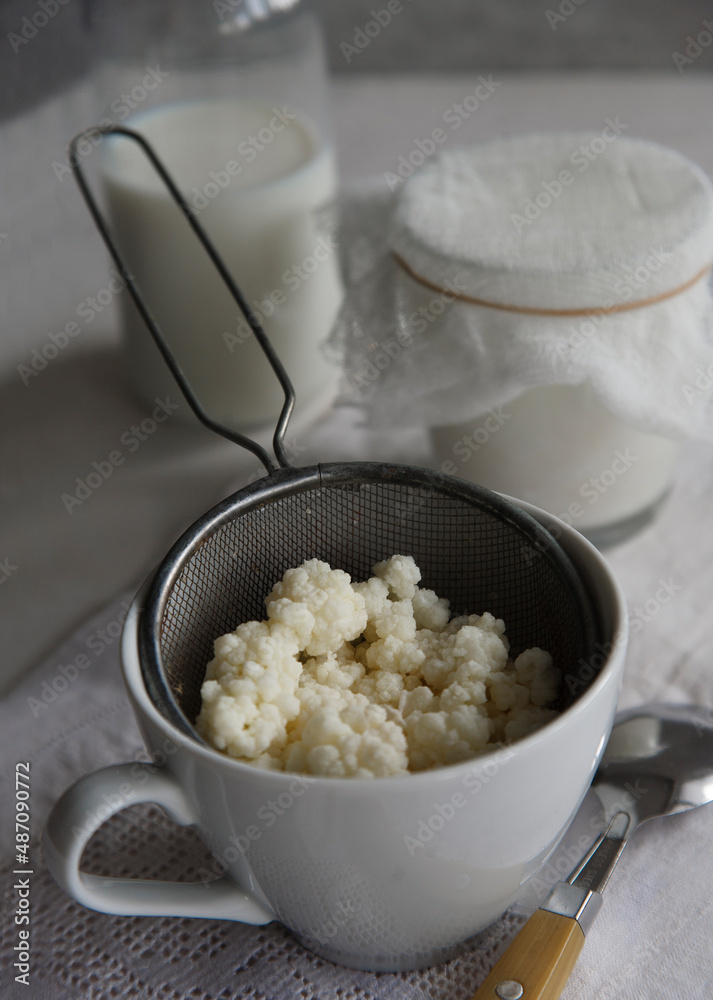 Milk kefir grains in a strainer inside white cup on white table. Stock ...