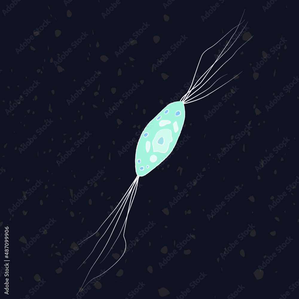 Vector illustration of single-celled eukaryote Labyrinthulea, Protozoa ...