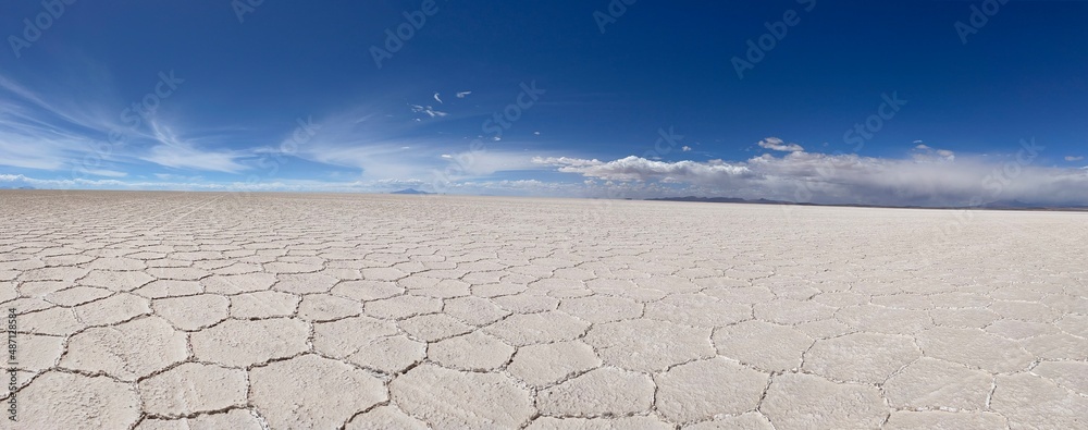 Photo & Art Print Pan view of hexagonal salt formations in Salar de ...