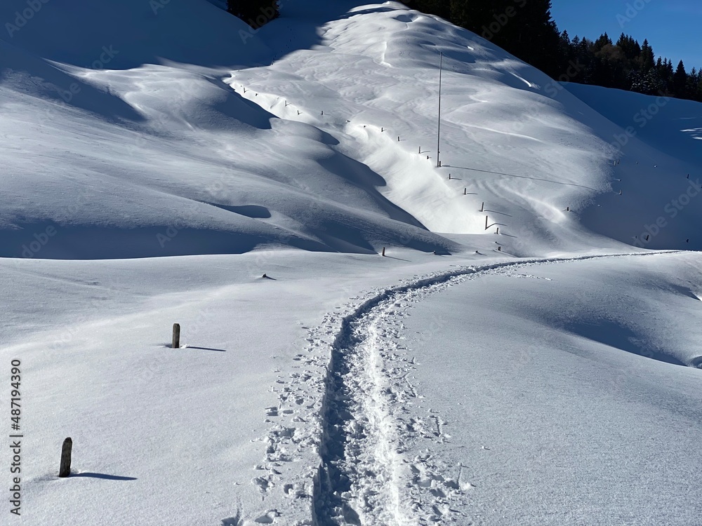 Wonderful winter hiking trails and traces on the fresh alpine snow ...