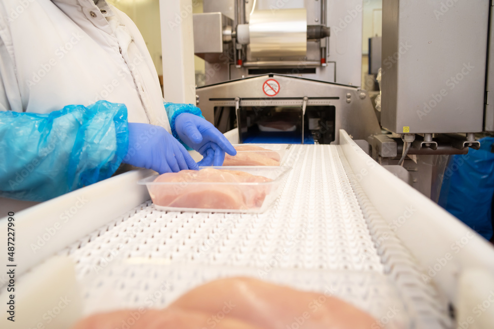 modern poultry processing plant.Meat processing in food industry ...