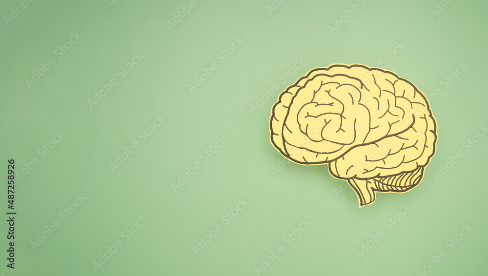 A brain shape made from paper on a green background. Stock Photo ...
