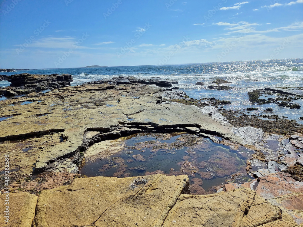 Rock Platform with rock pools at Hams Beach Newcastle Australia. With a ...