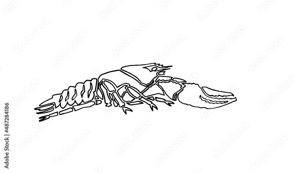Graphical sketch of lobster isolated on white background,vector sea ...