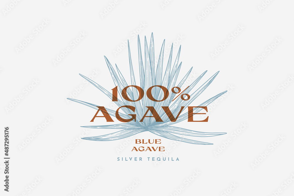 Hand-drawn blue agave bush. Tropical plant on a light background ...