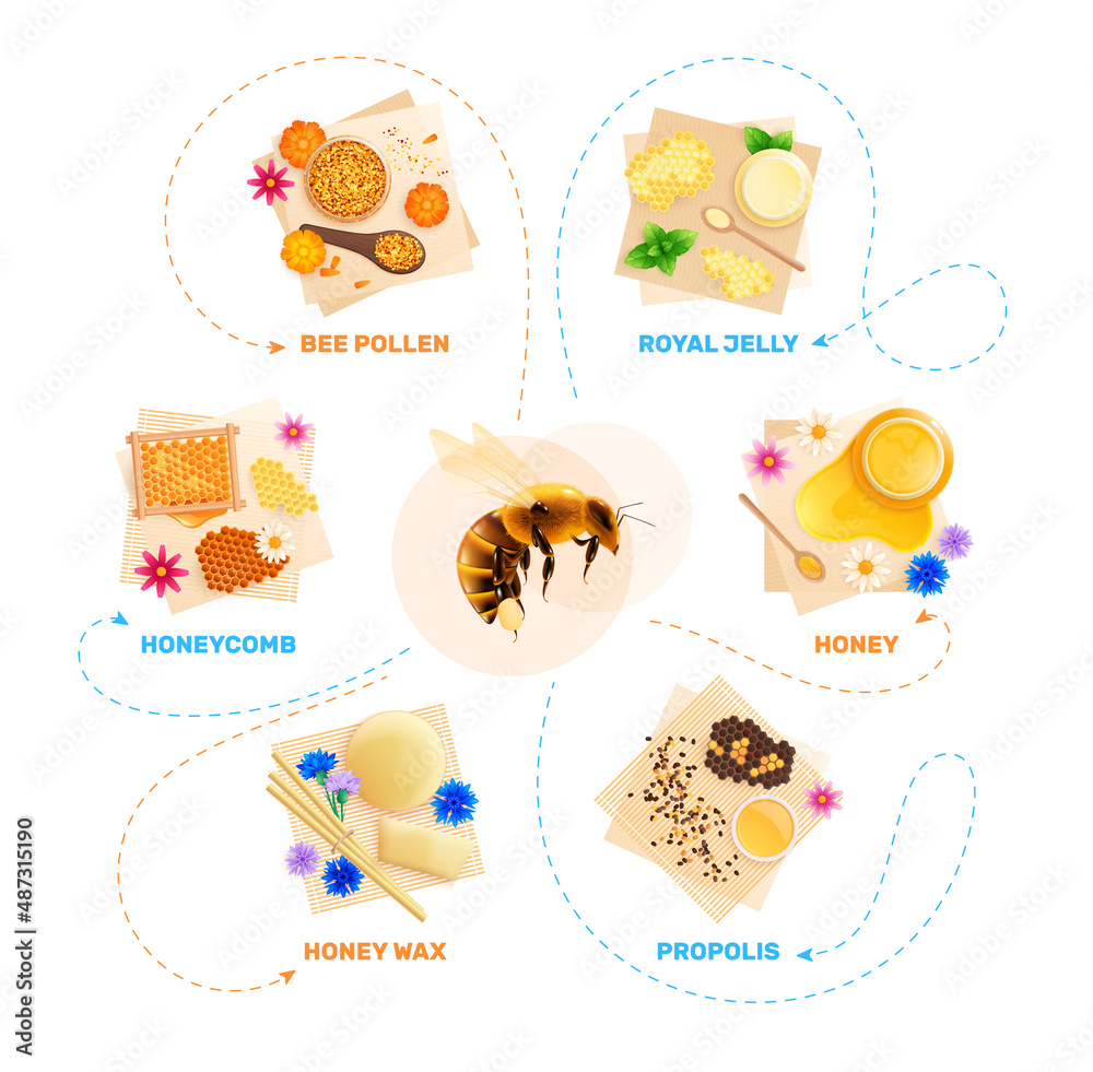 Vetor de Beekeeping Products Flowchart Infographics do Stock | Adobe Stock