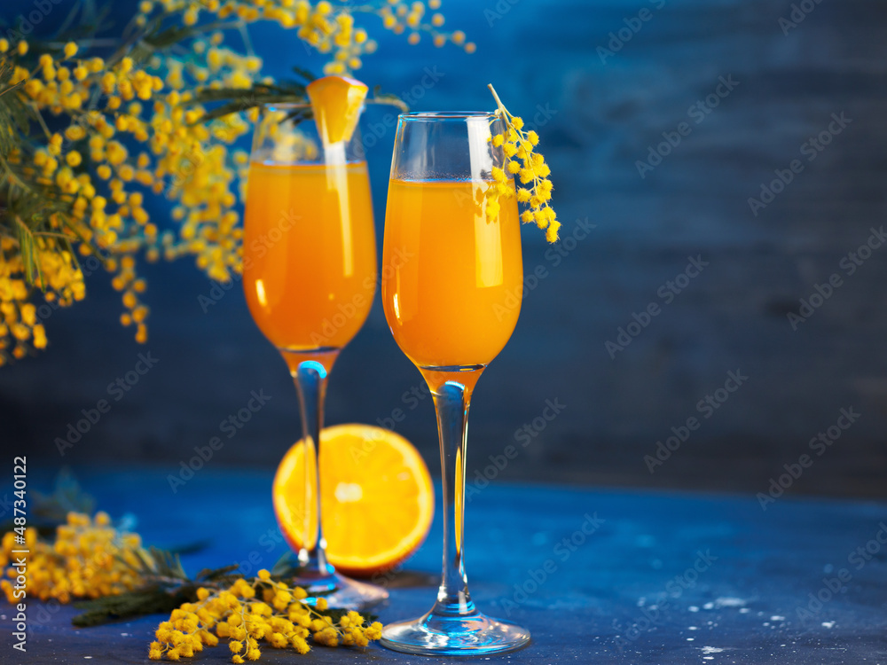 Mimosa cocktail and flowering branches of yellow mimosa, blue ...