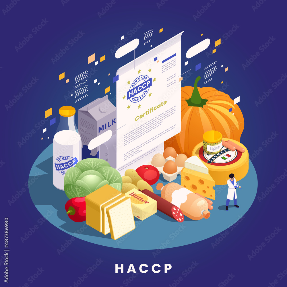HACCP Food Safety Concept Stock Vector | Adobe Stock