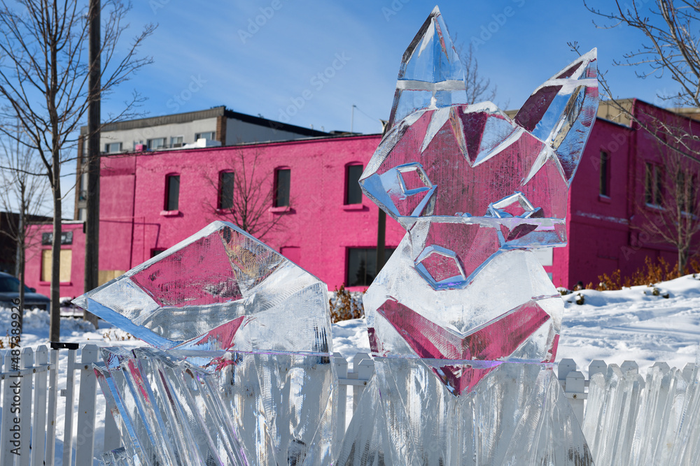 Ice sculpture of Fox at Hello Winter Barrie at Meridian Place in ...