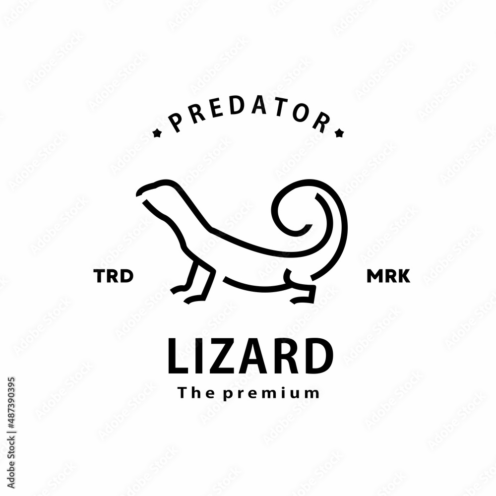 vintage retro hipster lizard logo vector outline monoline art icon ...