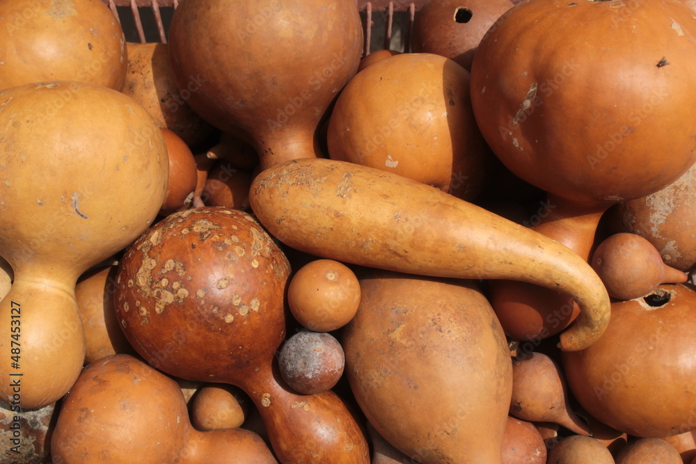 Gourd, cabaça, lagenaria siceraria, Bottle gourd. Dried Calabash fruits ...