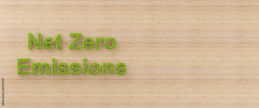 abstract 3D leaves forming Net Zero Emissions text on wood background ...
