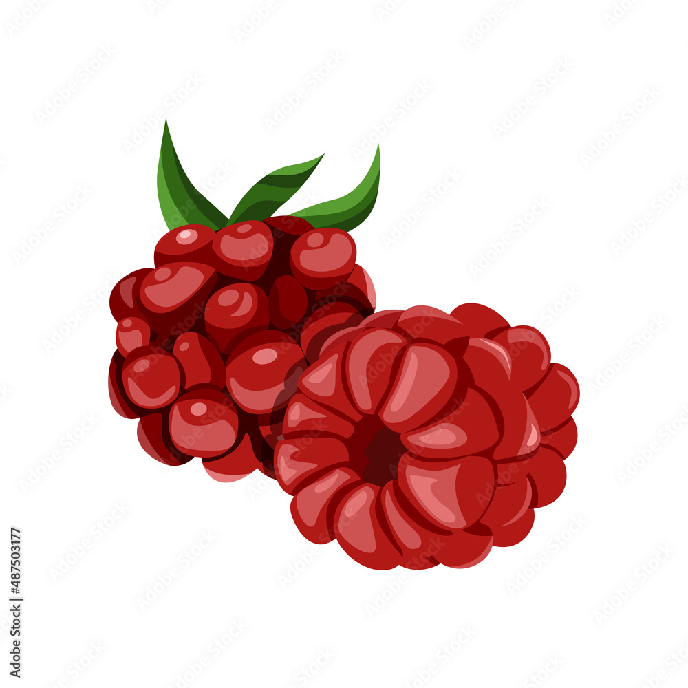 Raspberry. Juicy red berry, cartoon-style food illustration Stock ...