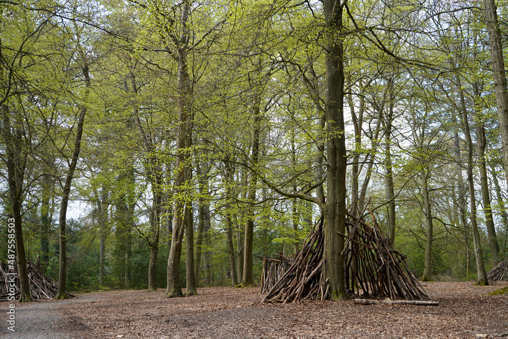 Camp in the woods made of logs and sticks Stock Photo | Adobe Stock